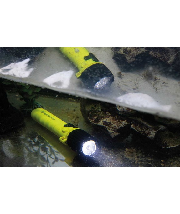 Intrinsically Safe LED Flashlight Torch